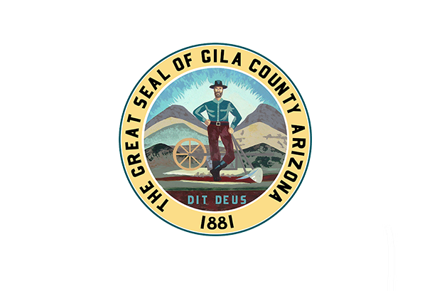 November 7, 2023 Local Election - Gila | Citizens Clean Elections ...